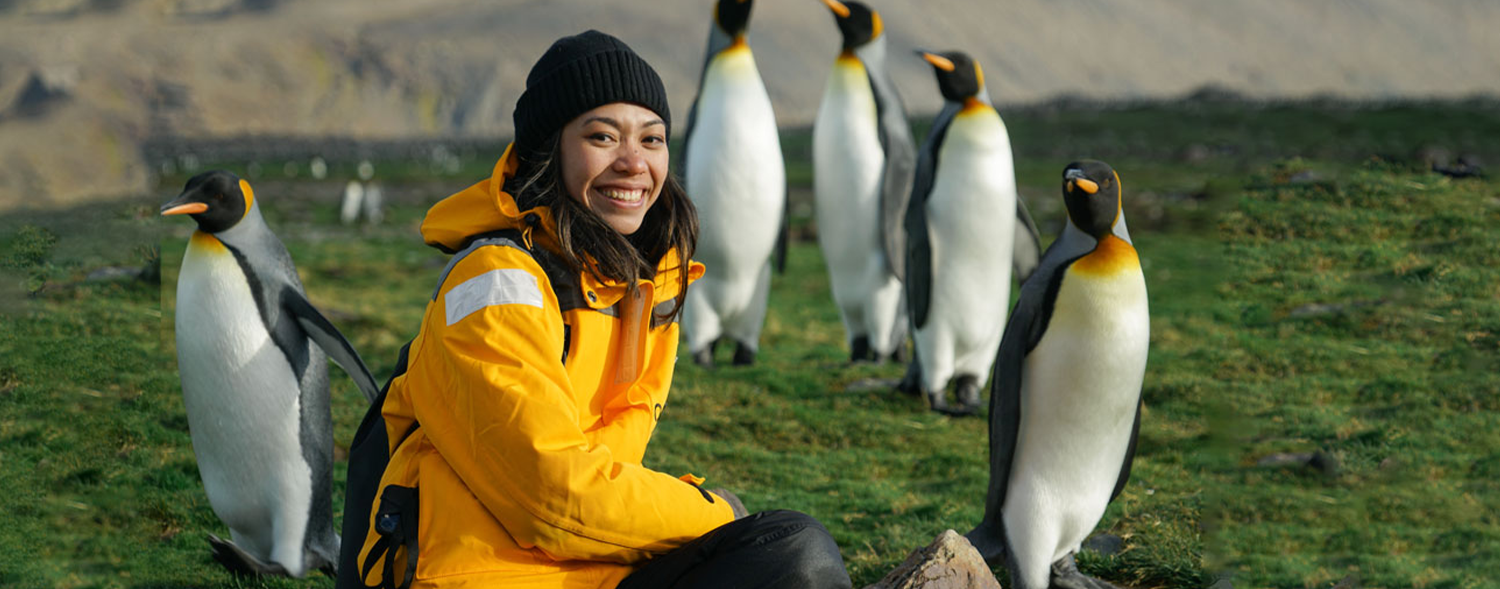 Penguin population soars: signs of hope for Antarctica's iconic species ...